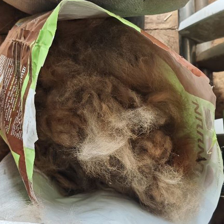 Собачья шерсть пух вычес