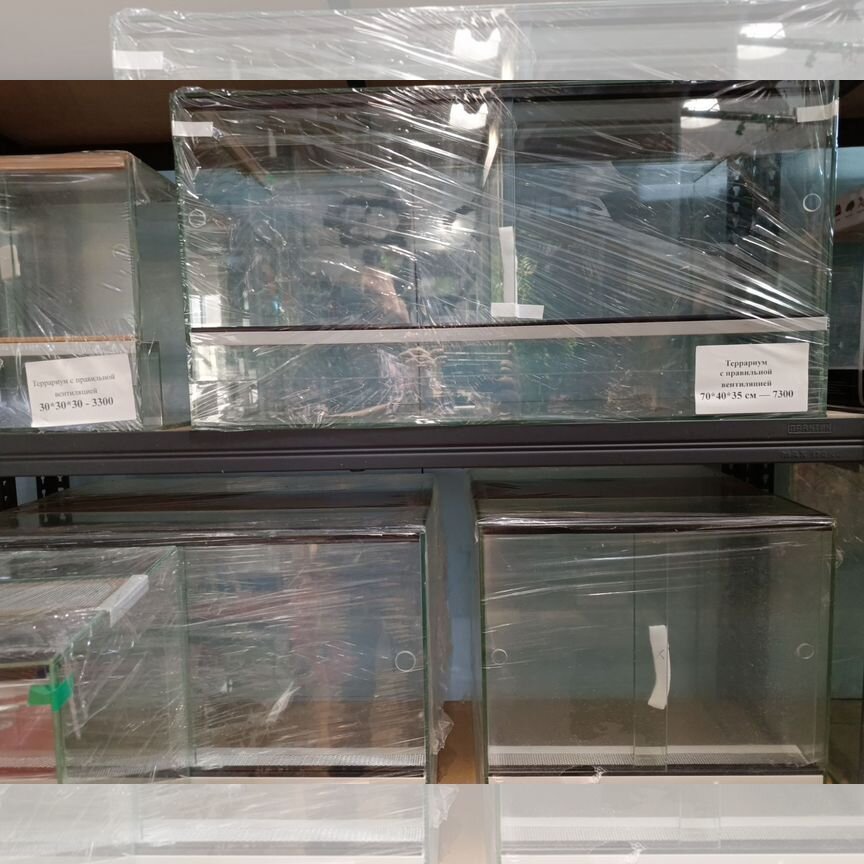 Террариумв для рептилий