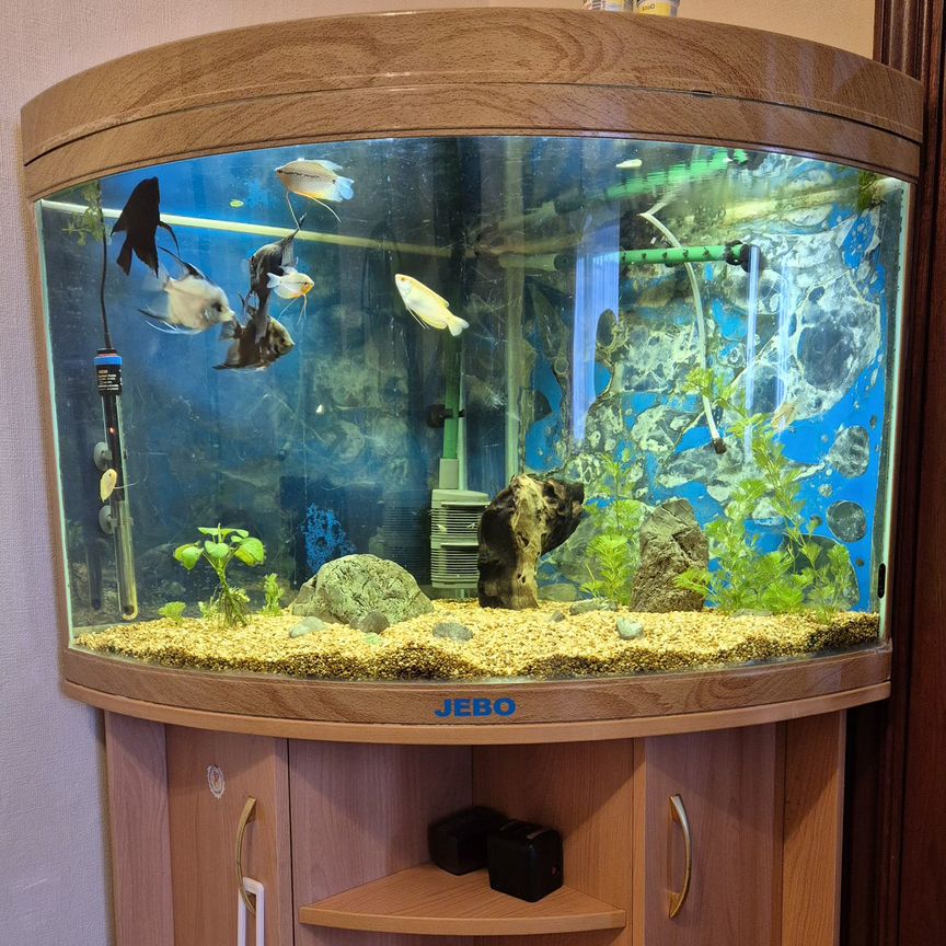 Аквариум Jebo 186л, тумба,оборудование eheim,рыбки