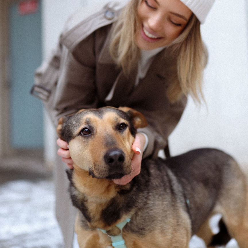 В поисках семьи Атос