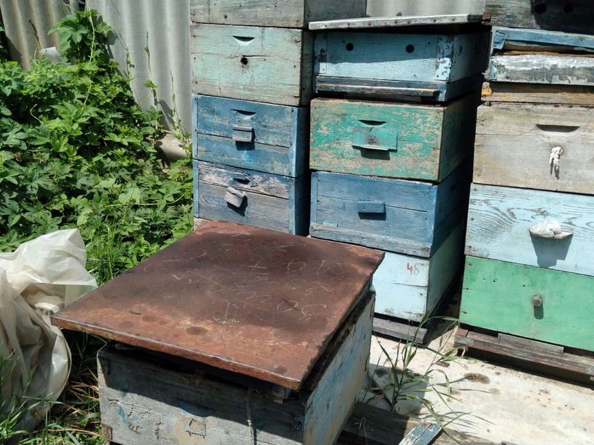 Ульи рут б/у