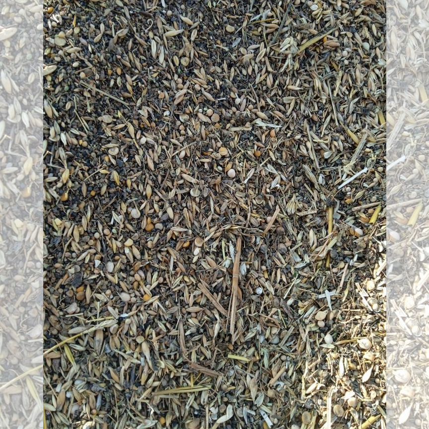 Отходы зерна, овса,ячменя, гороха, полова мешками