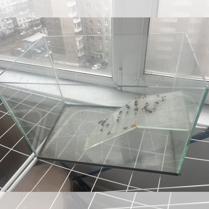 Аквариум для красноухой черепахи