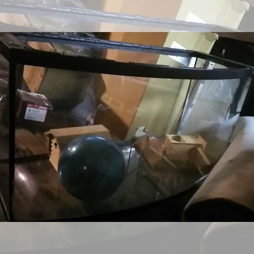 Аквариум, террариум для животных