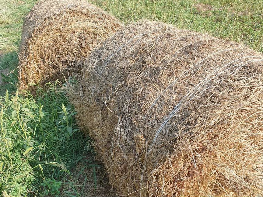 Круглые тюки