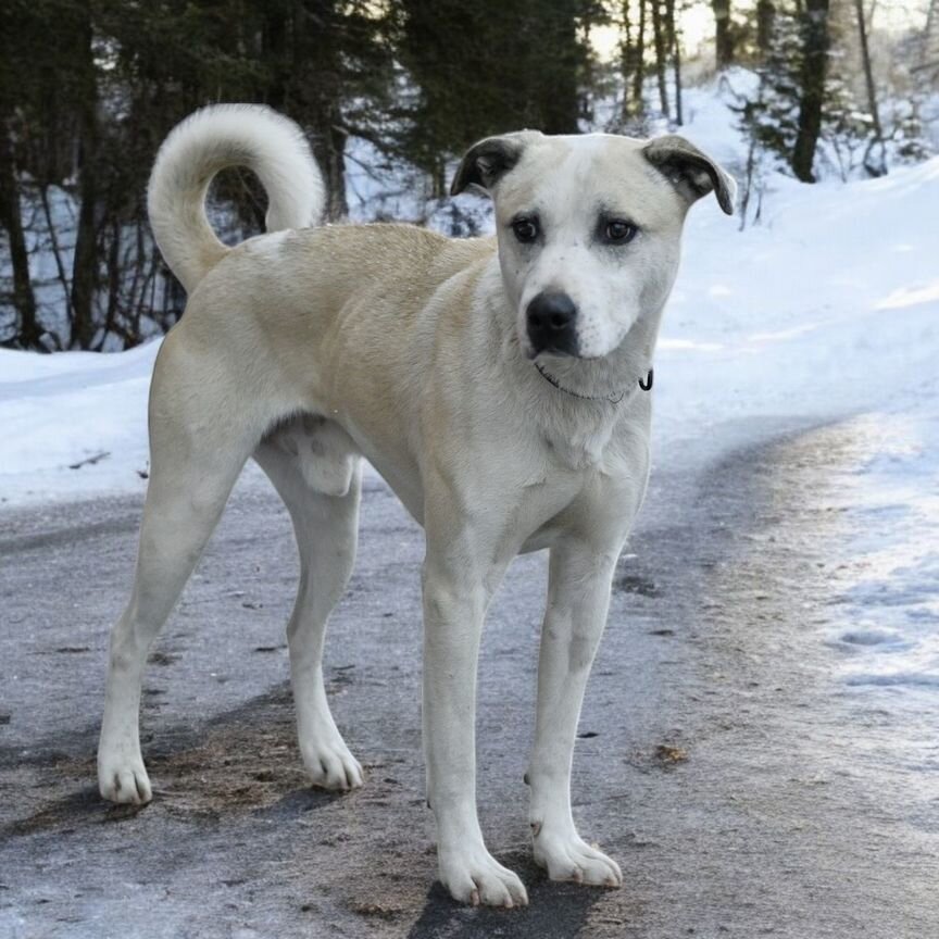 Илай ищет дом