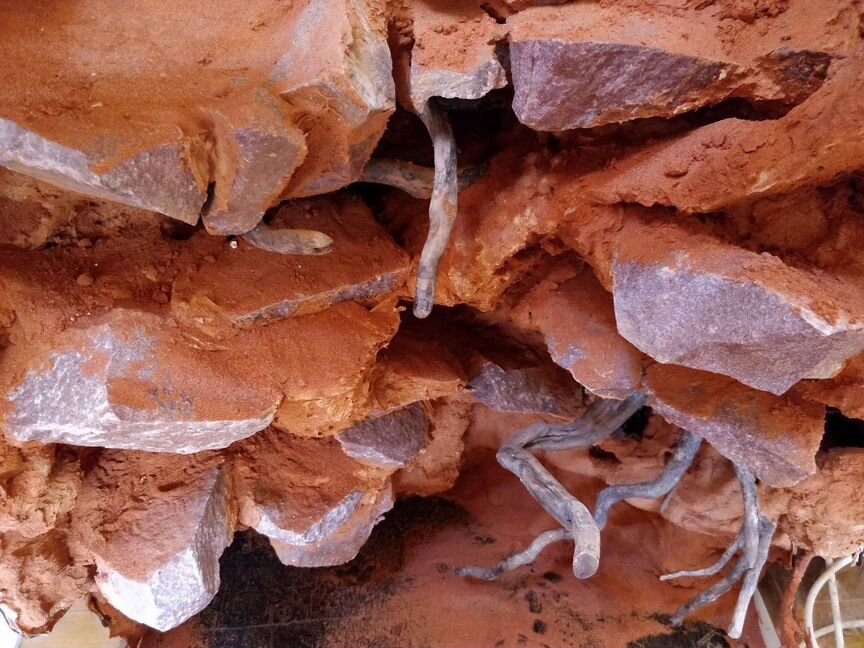 Пустынный Террариум ручной работы