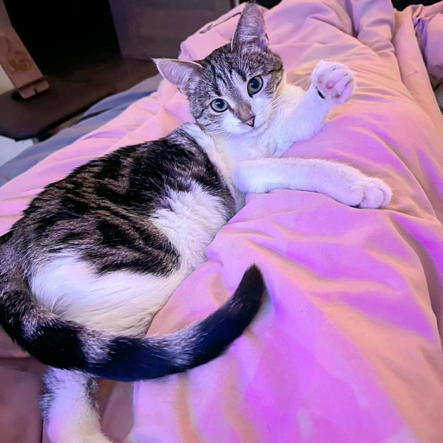 Молоденькая красотка в добрые руки