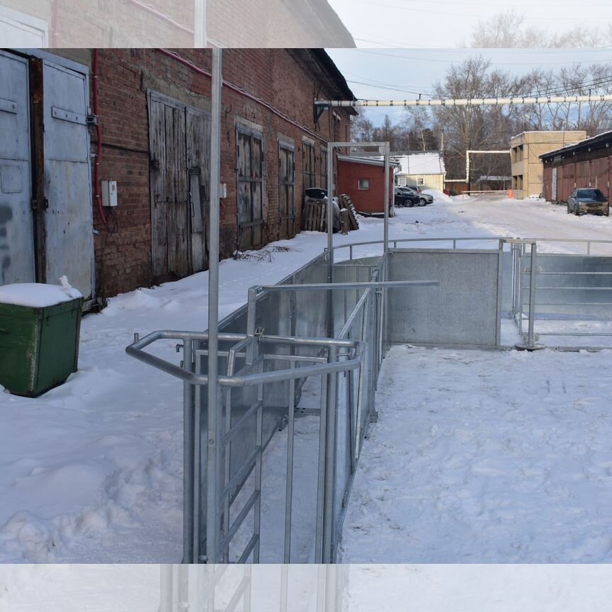 Система сортировки для овец