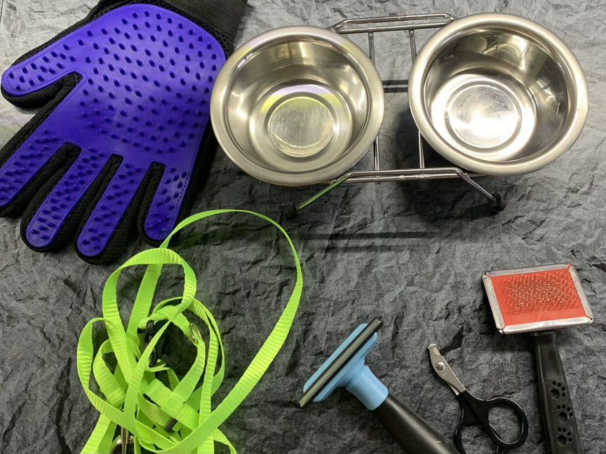 Миски, шлейка, чесалки, перчатка, ножницы