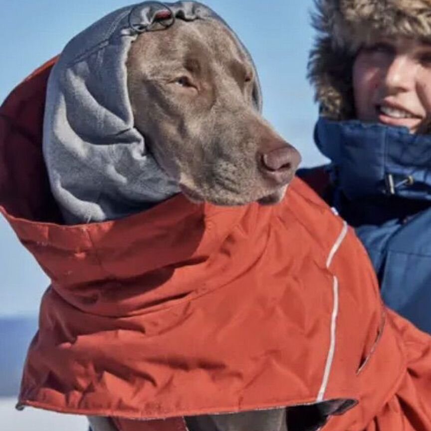 Exstreme warmer III eco 40