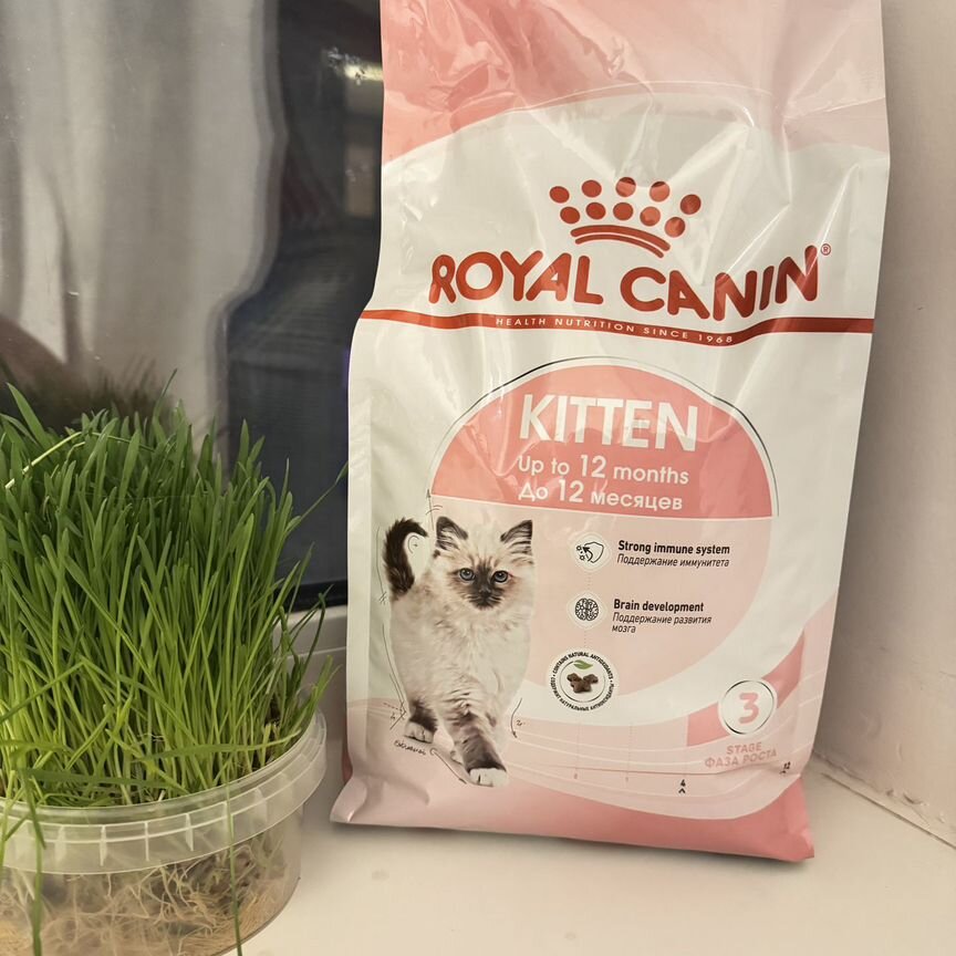 Royal canin kitten для котят