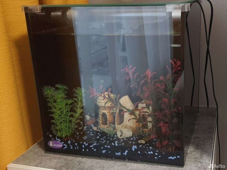 Аквариум