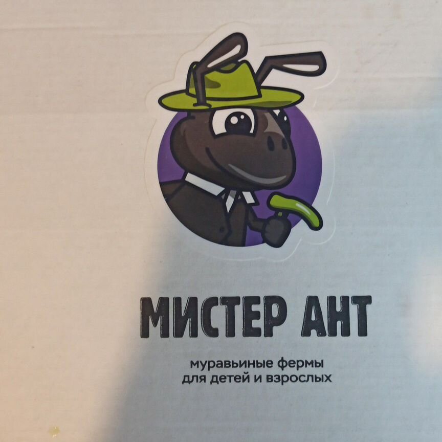 Вертикальная муравьиная ферма