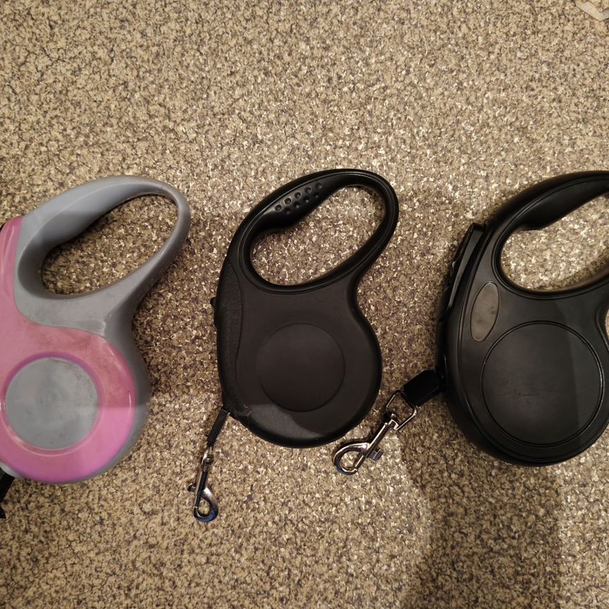 Поводок рулетка