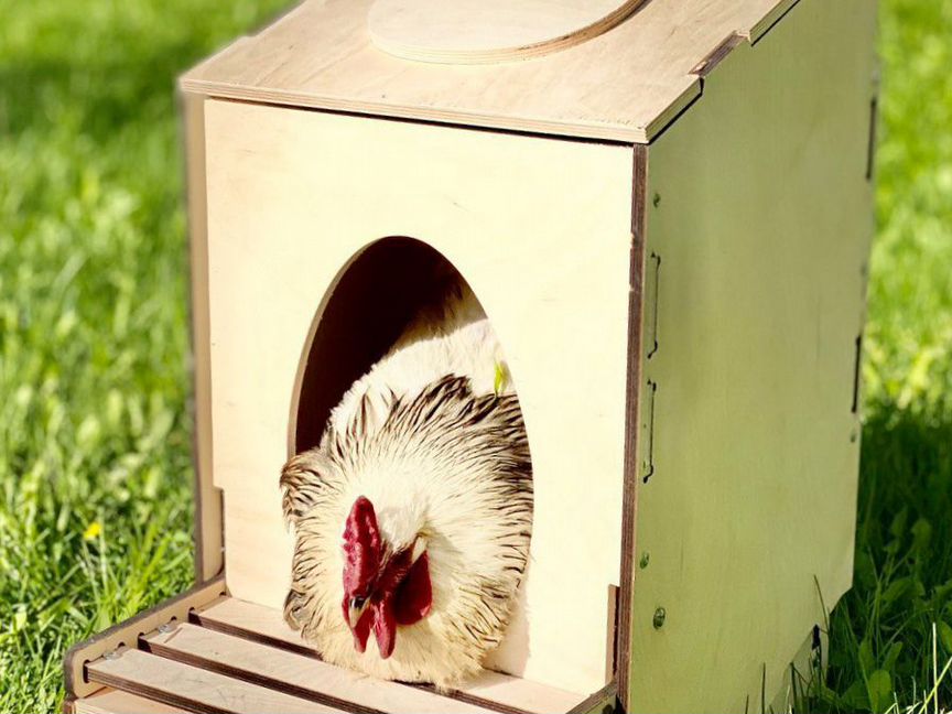 Гнездо с яйцесборником