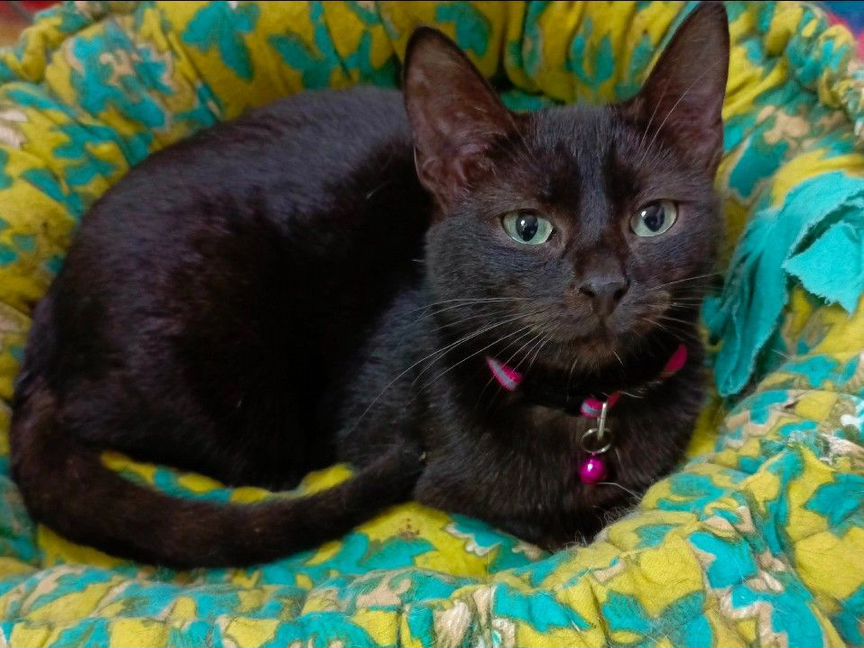 Малышка Лиана