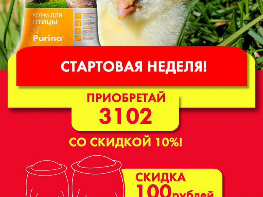 Пурина комбикорм стартер