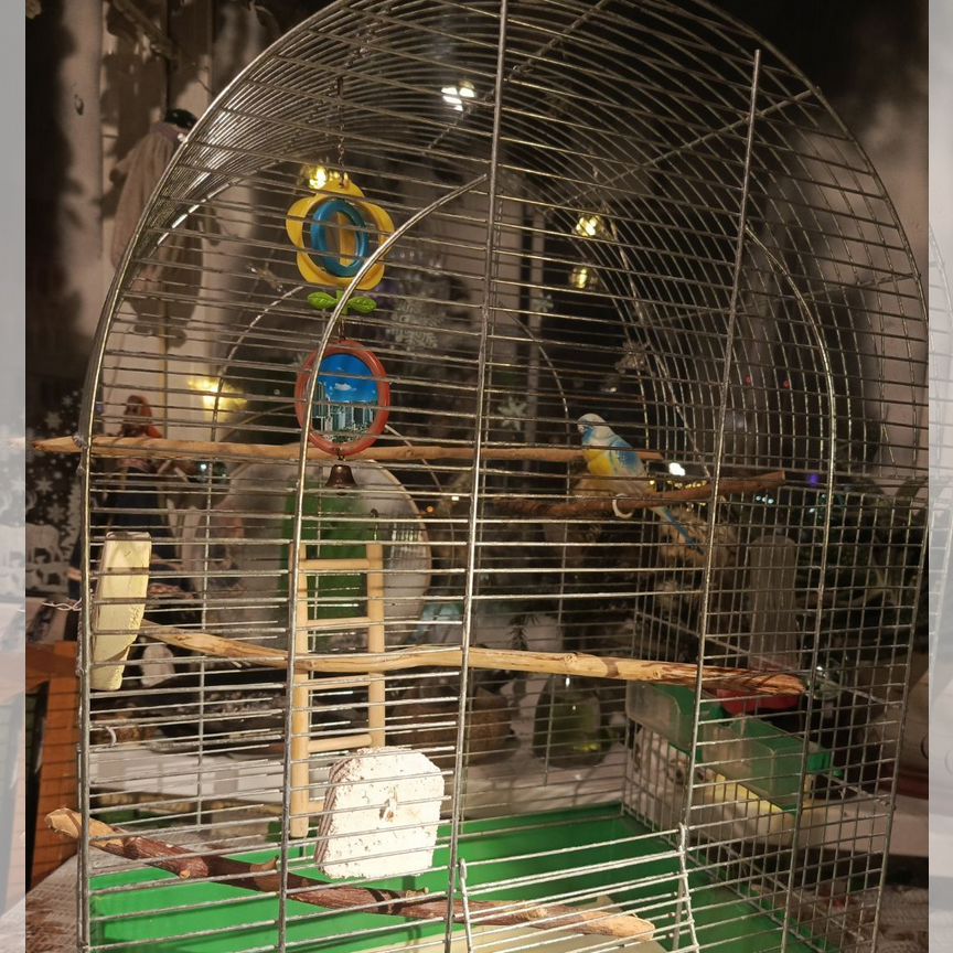 Клетка для птиц