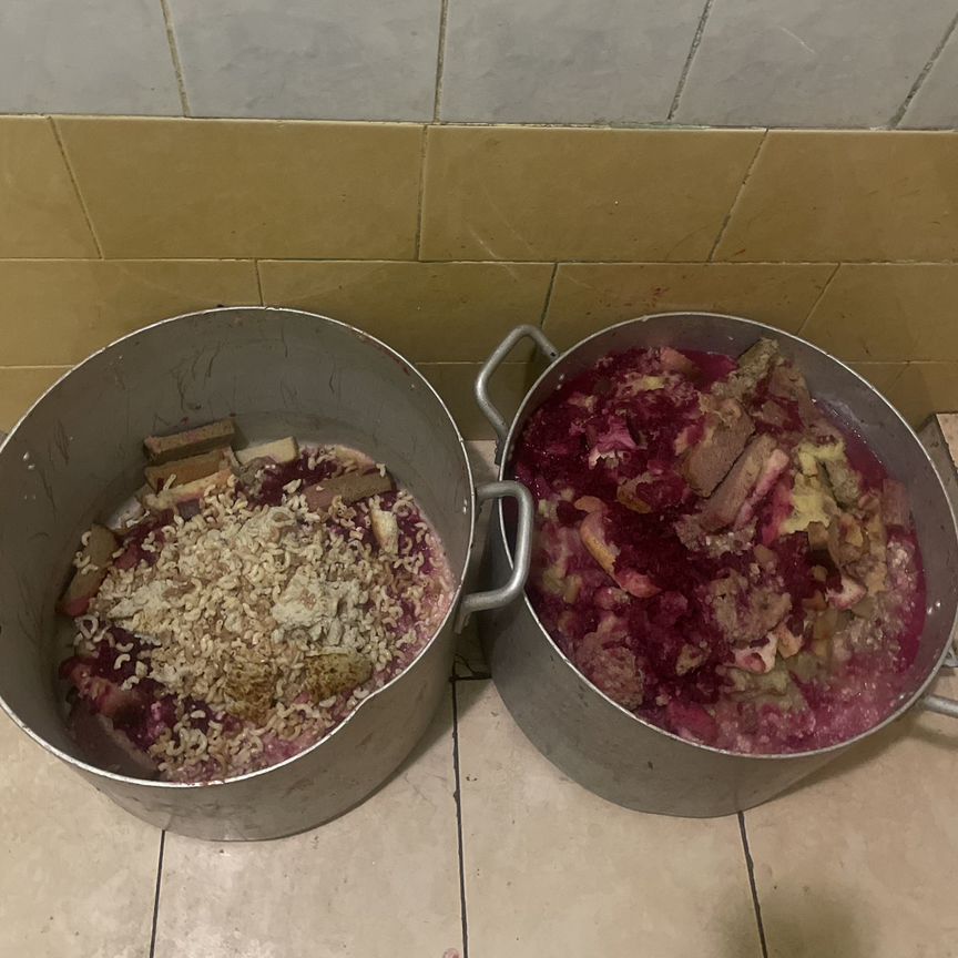 Пищевые отходы для животных