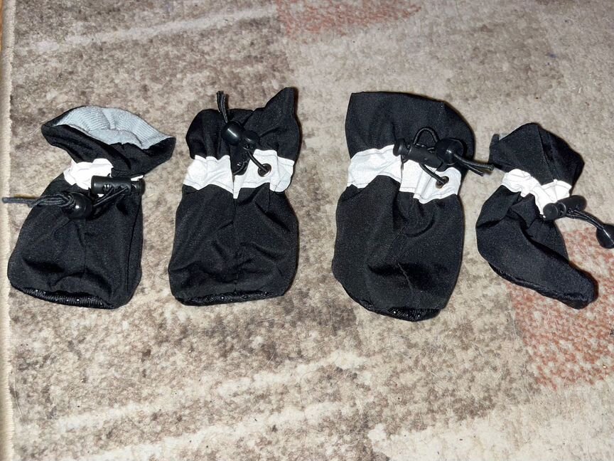 Обувь для собак