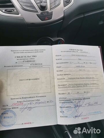 Продам лайку