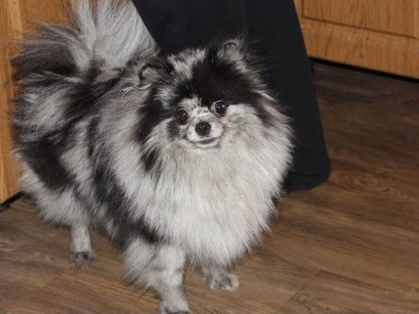 Мраморная девочка, взрослая