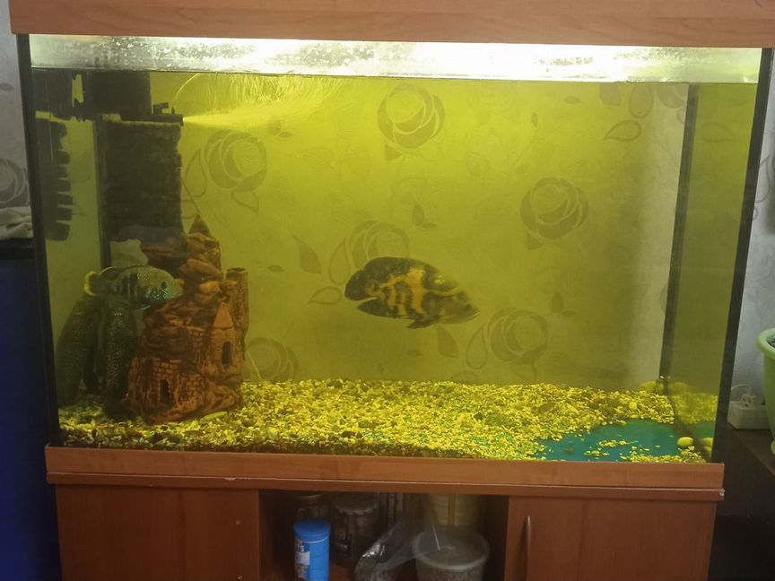 Аквариум с тумбой