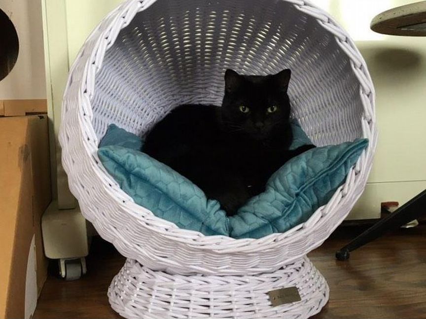 Плетеный домик для Кошек и Собак