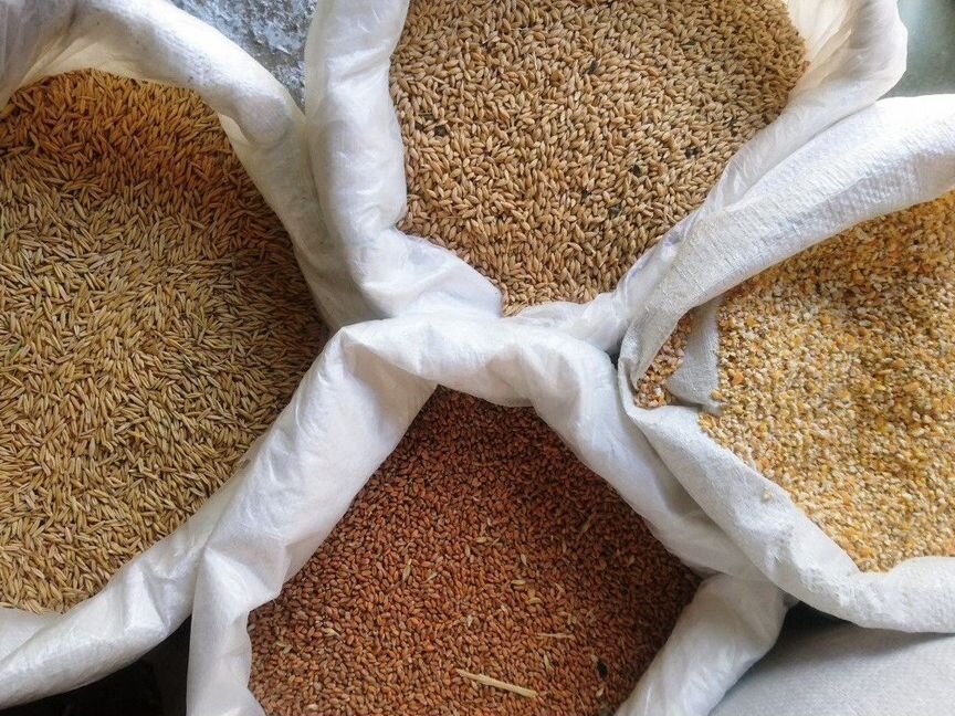 Корм для кур, свиней, коров, кроликов, овец опт