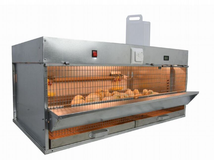 Брудер для цыплят