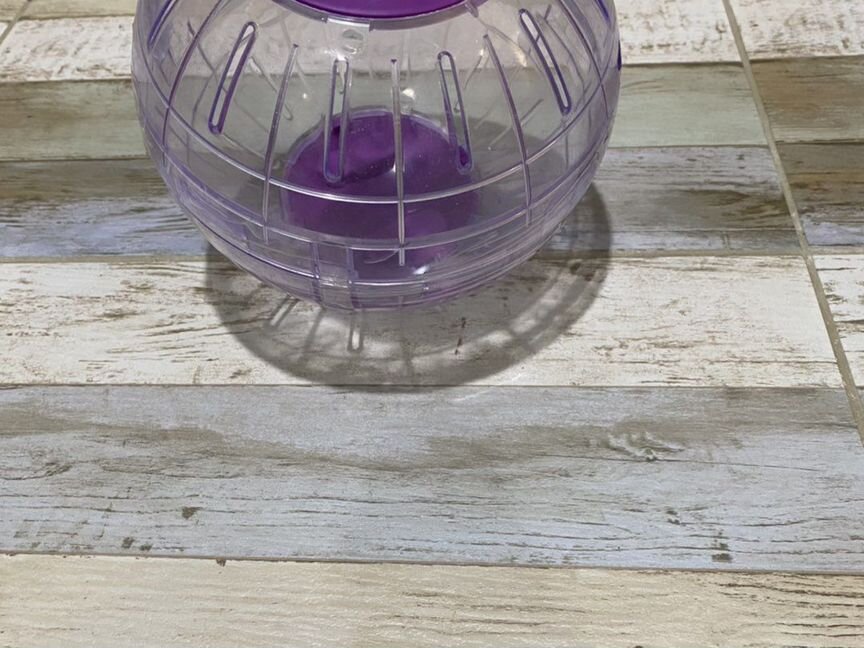 Шар для шиншиллы