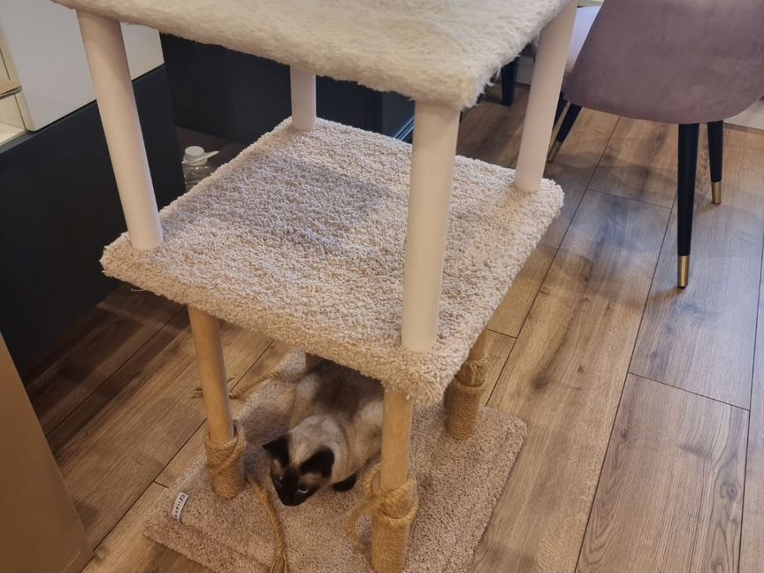 Отдам когтеточку-лежанку волонтерам или приюту