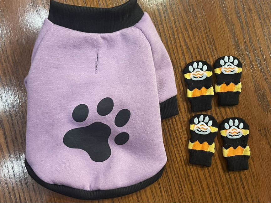 Кофта и носочки для собаки