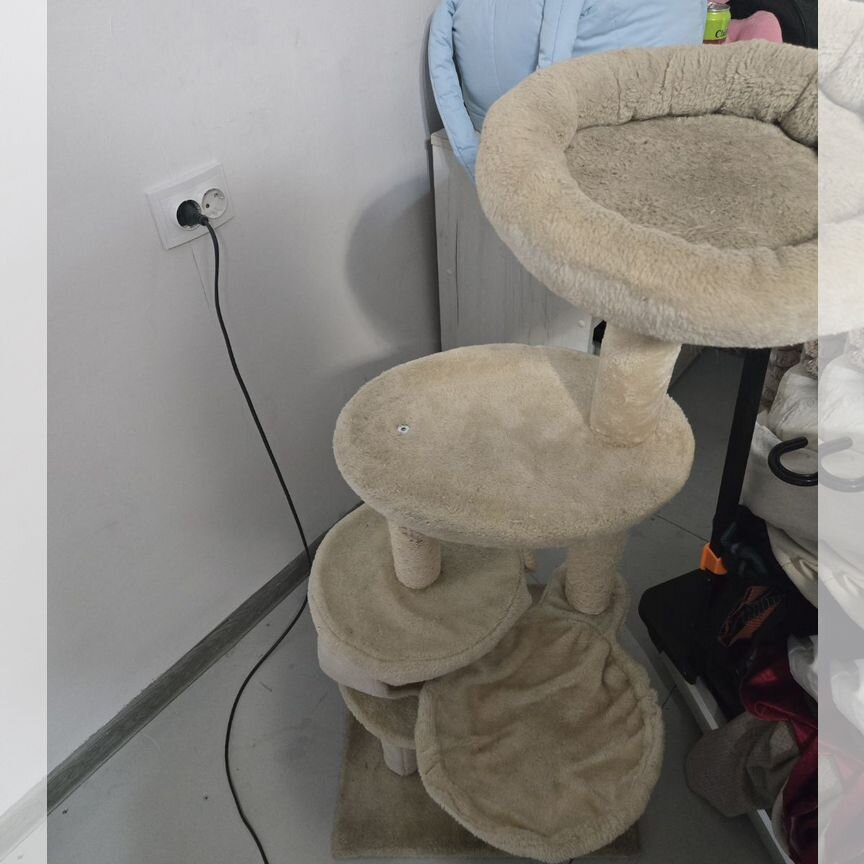 Когтеточка для кошек