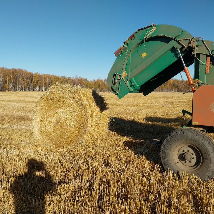 Сено, солома в рулонах