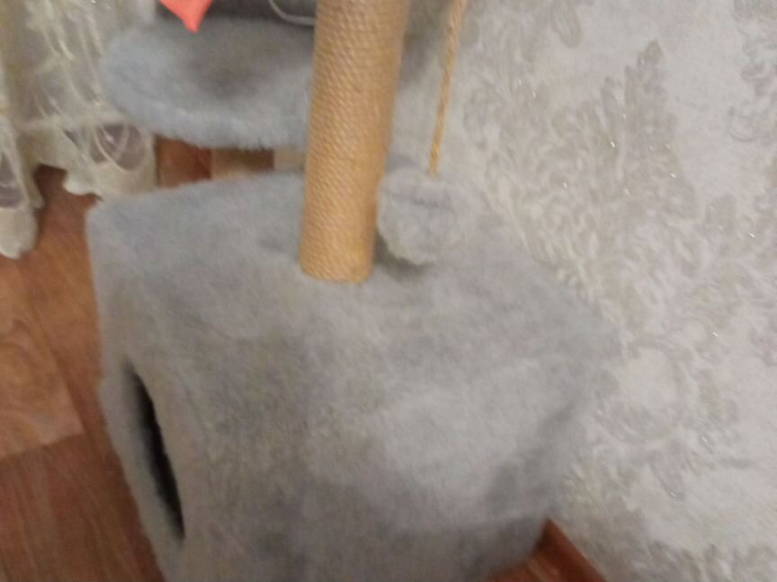 Когтеточка