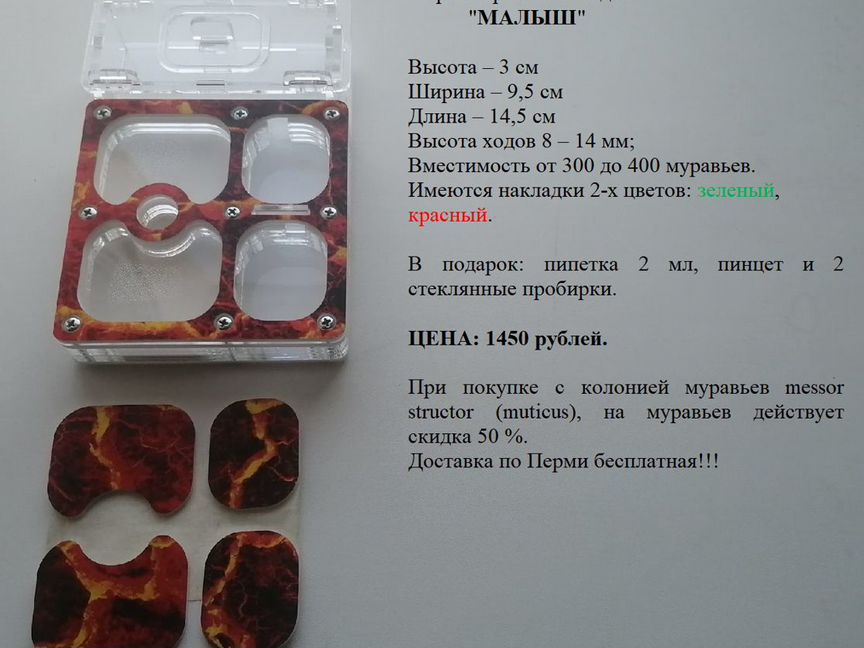 Формикарий, муравьиный дом