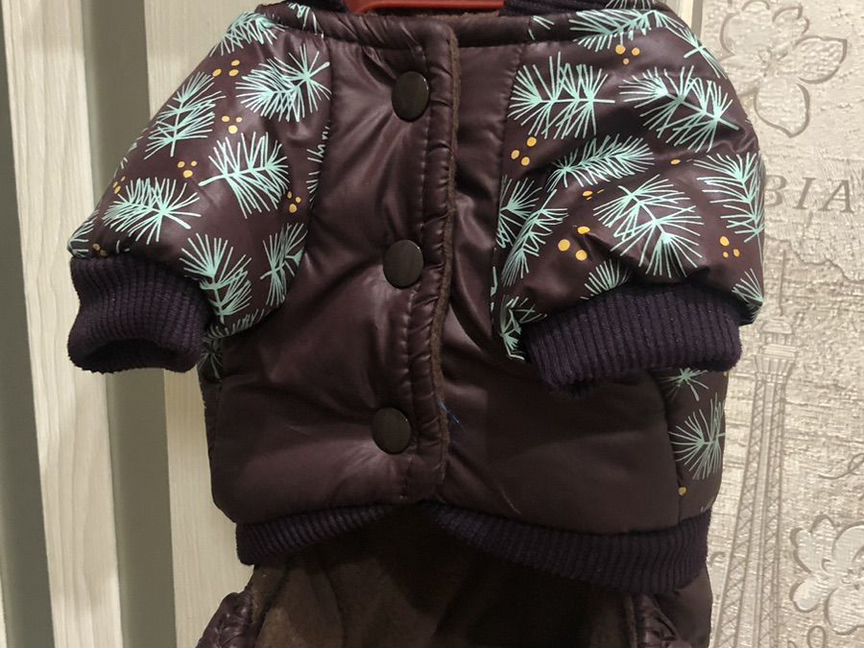 Курточка для мини йорка