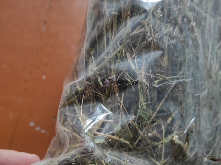 Сено луговое для грызунов (кролика) 1 кг