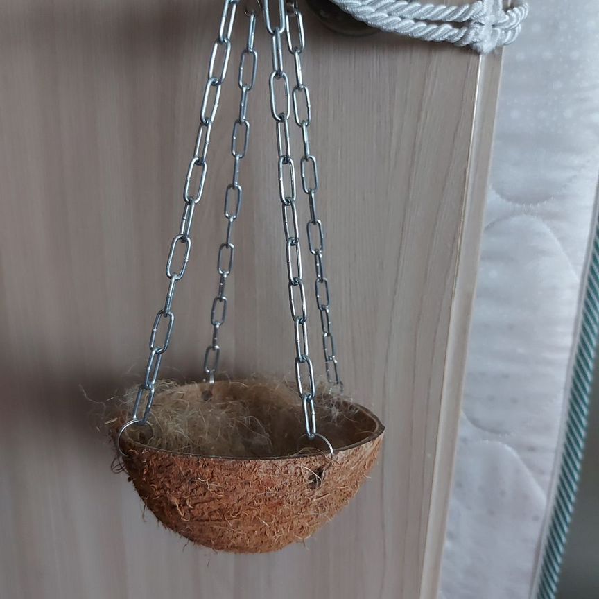 Гнездо для птиц