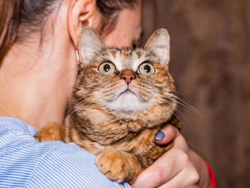 Эмма