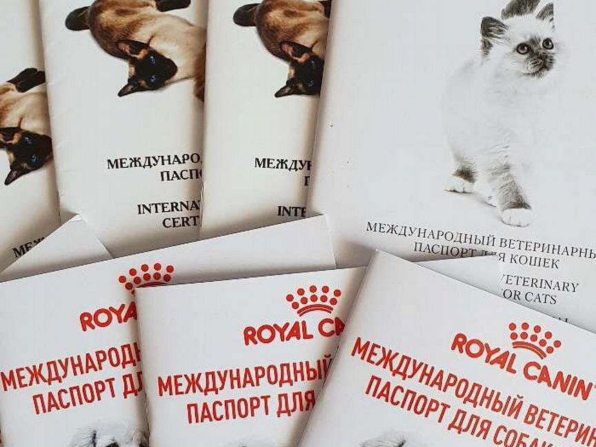 Международный ветеринарный паспорт