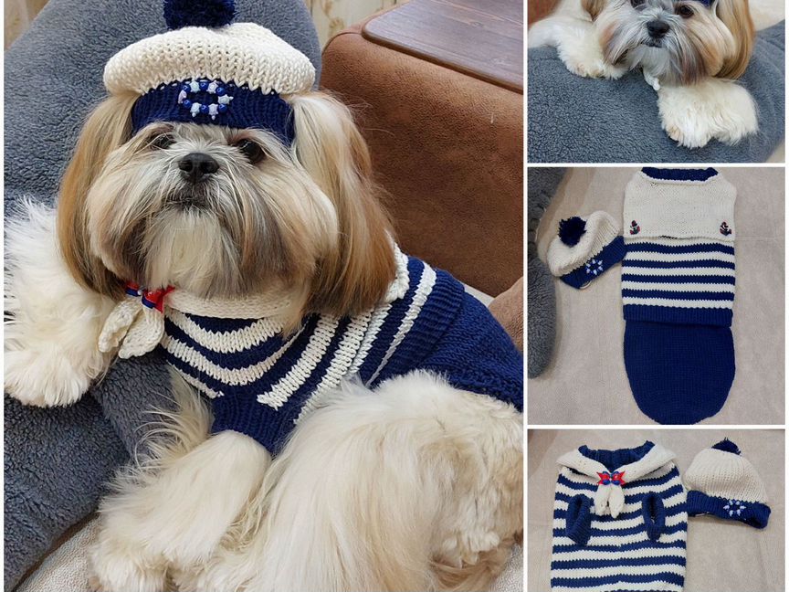 Вещи вязанные для питомцев