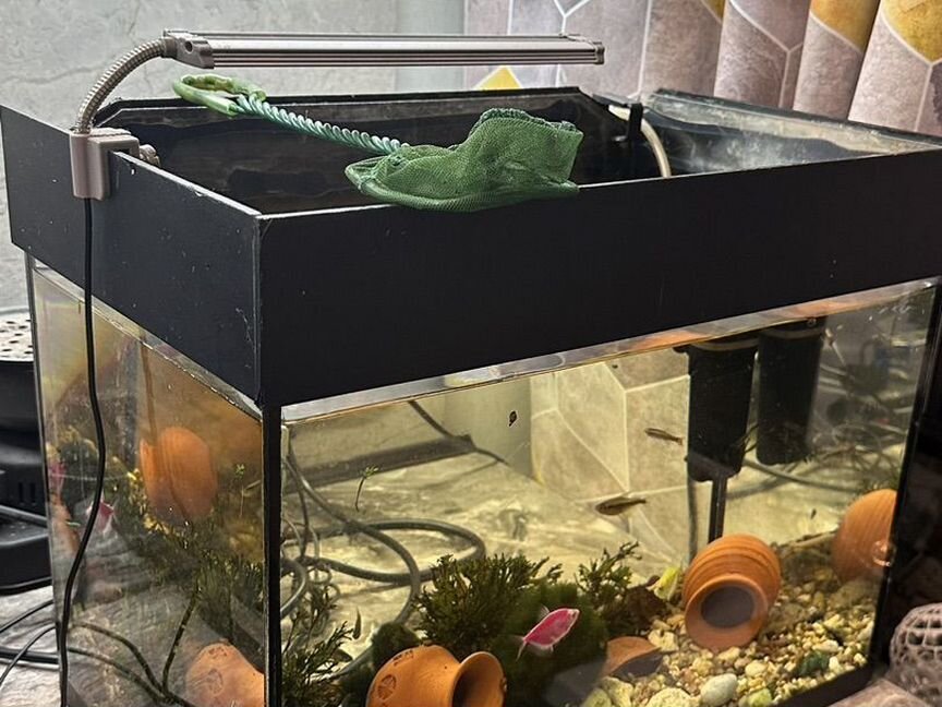 Аквариум с тумбой и рыбками
