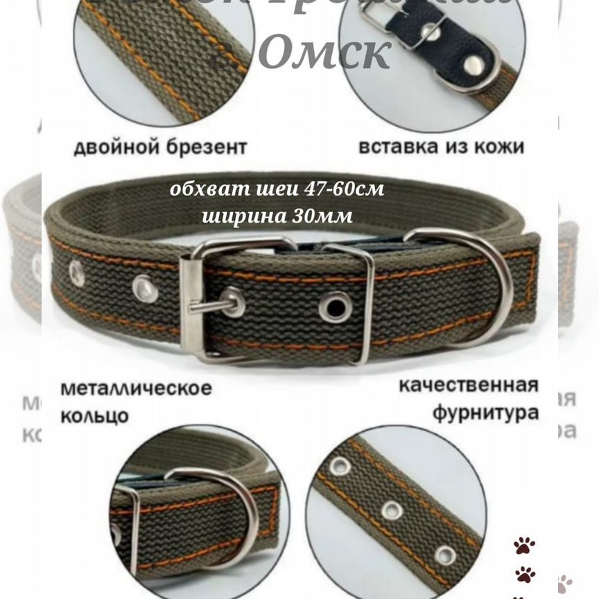 Ошейник для собак