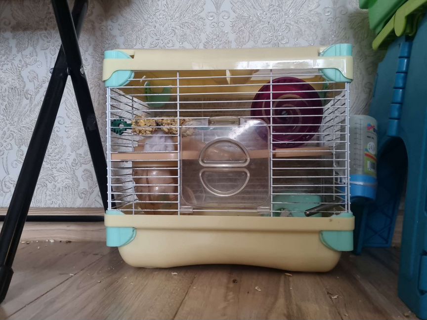 Клетка для джунгарика