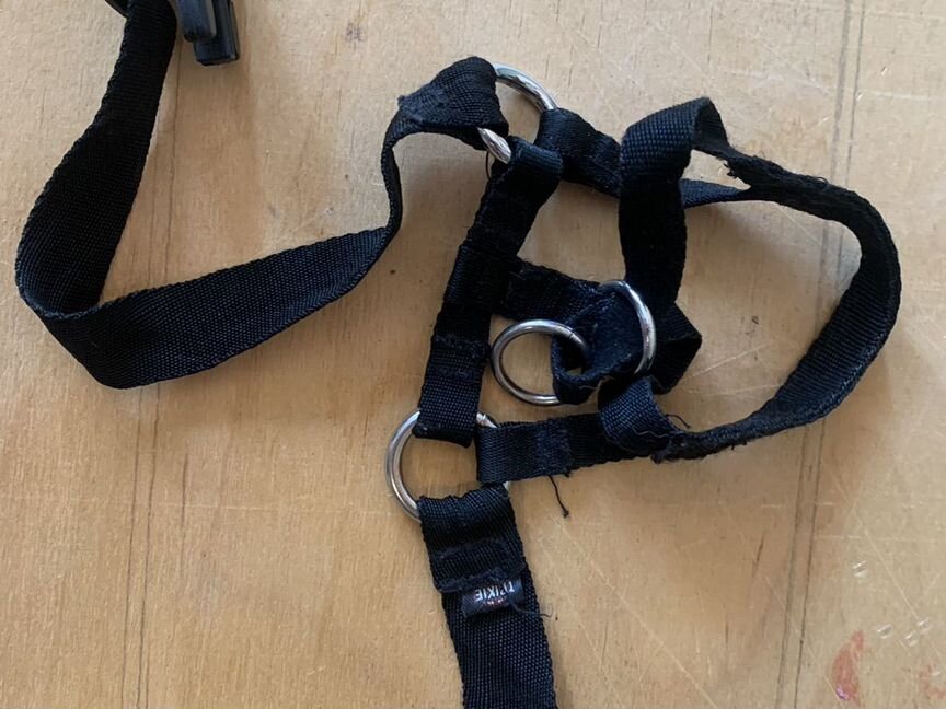 Халти для собак