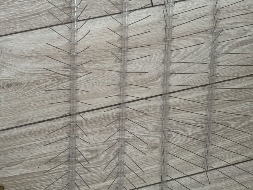 Шипы от птиц