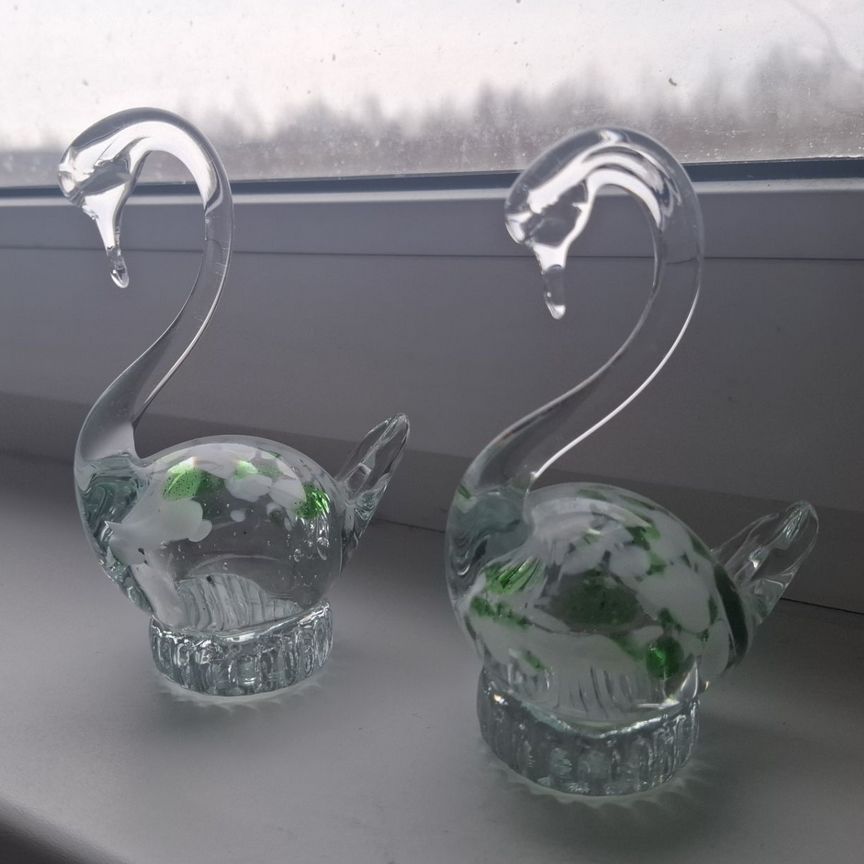 Продам 2-х прекрасных лебедей
